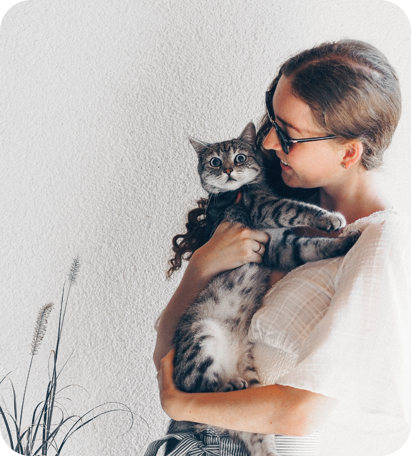 Trusted In-Home Cat Sitters - How It Works | Meowtel